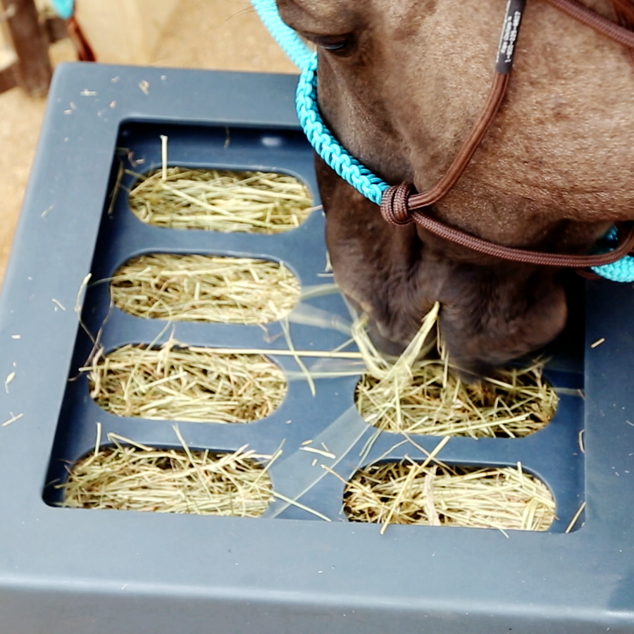 Savvy Feeder | The Best Slow Hay Feeder – Savvy Horse Products